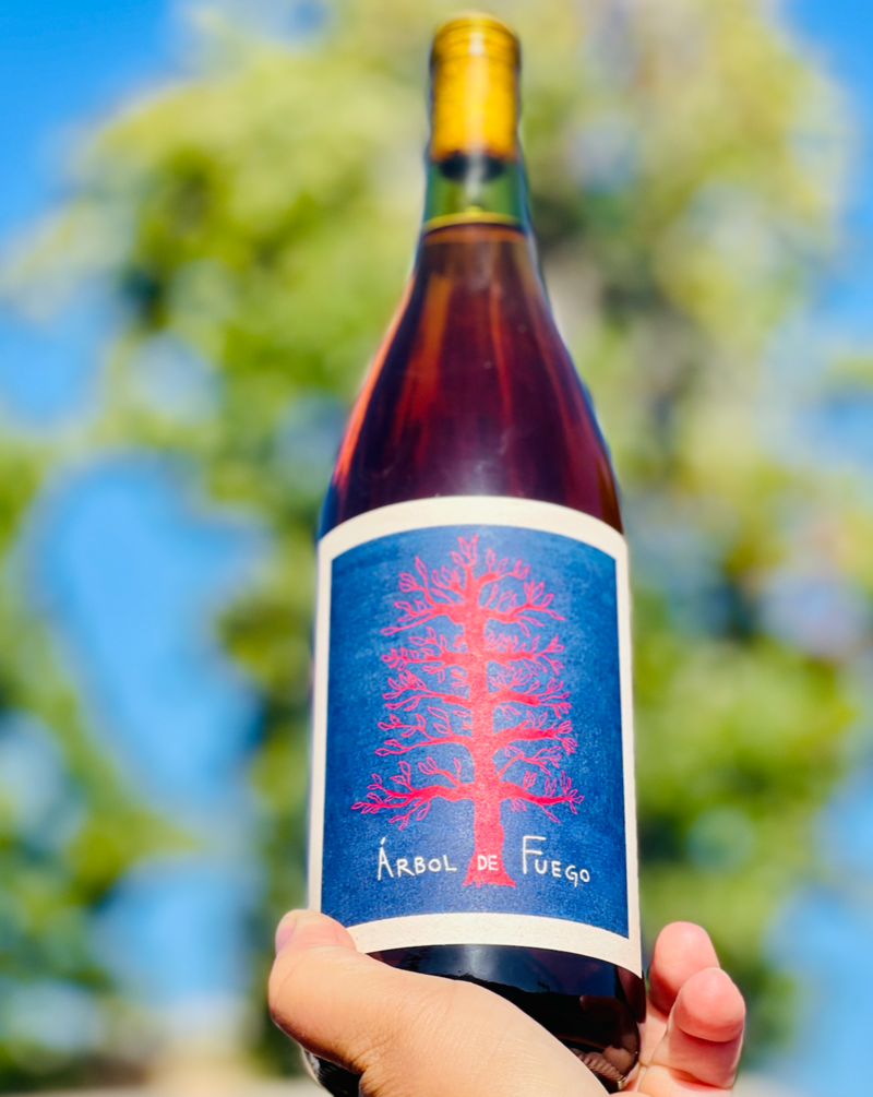 Vinos Pijoan Arbol de Fuego – VINOVORE Eagle Rock